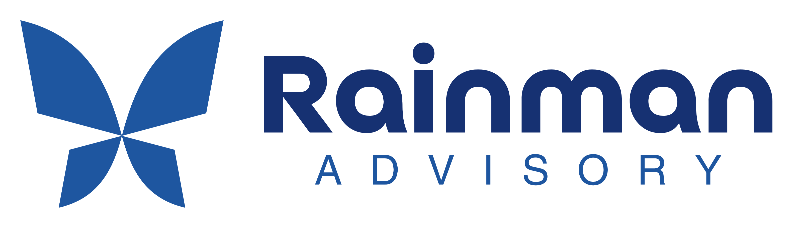 Rainman Advisory - What if your Business Transformation Couldn't Fail?